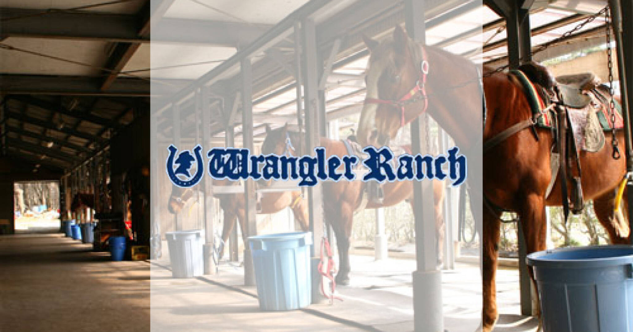 乗馬クラブ ラングラーランチ